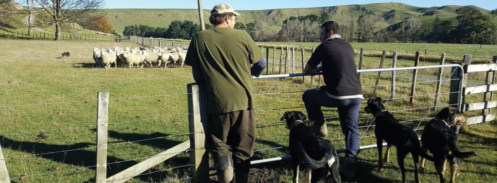 Talent Central – Where talent comes together | Talent Central