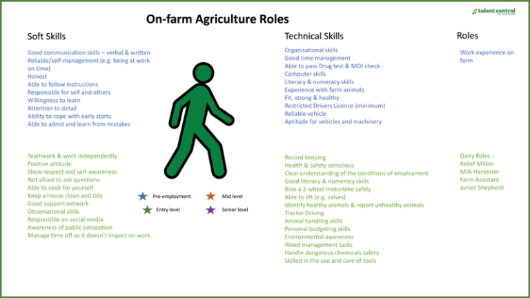 Industry Pathways | Talent Central
